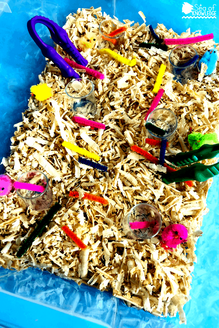 14+ Easter Fine Motor Activities for Preschoolers Pantry Items Crafts ...