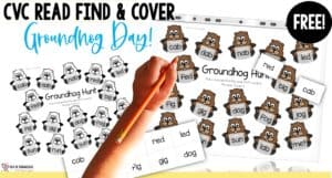 10 Brilliant Low Prep CVC Activity Sheets