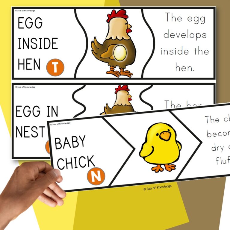 8 Fantastic Activities to Teach Chicken Life Cycle
