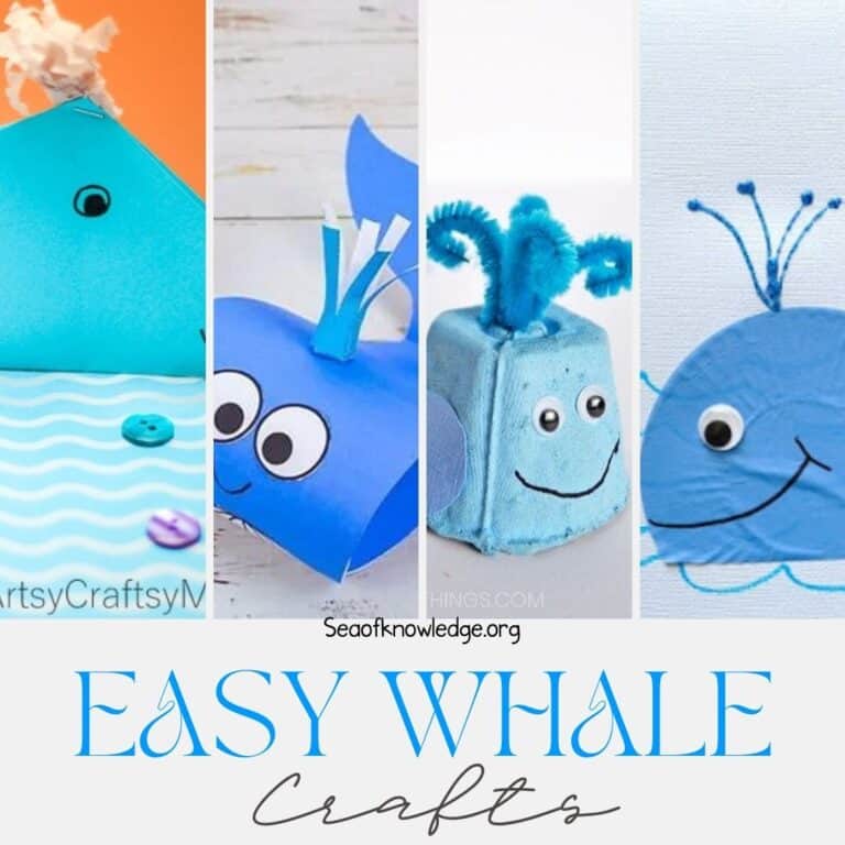 6 Easy Whale Crafts for Preschool