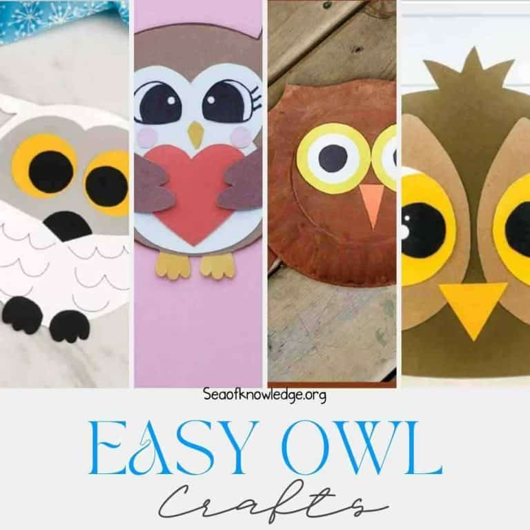 Simple & Easy Owl Crafts for Preschoolers