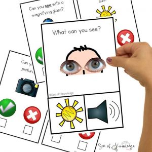 5 Senses Printable Activities and Online Games
