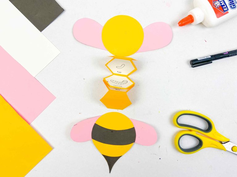 Bee Life Cycle Craft [Free Template]