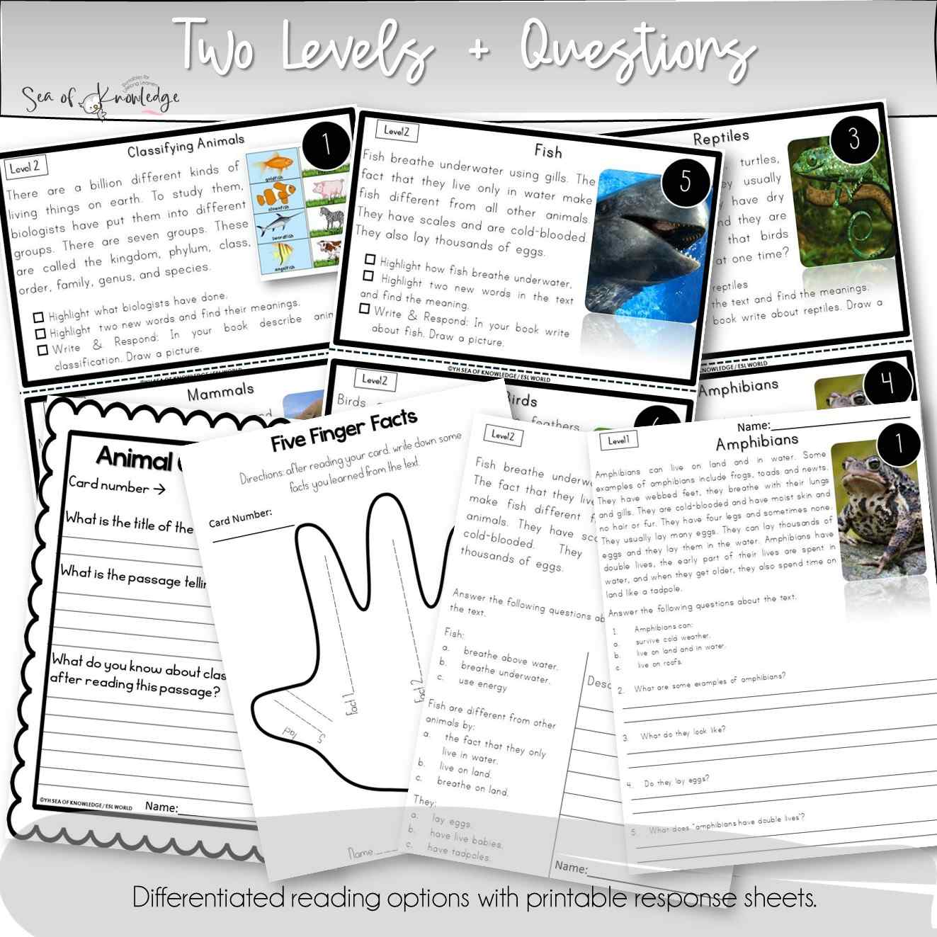 Classification of Animals PDF Reading Tasks