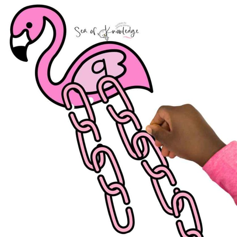 Hands on One to One Correspondence Counting Flamingo Legs