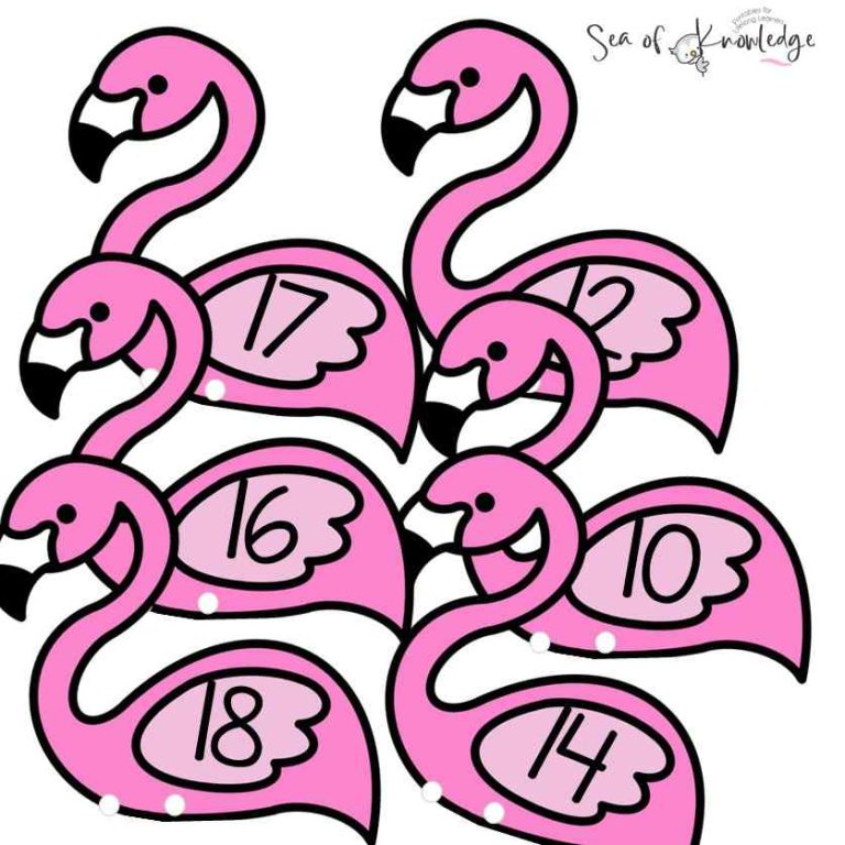 Hands on One to One Correspondence Counting Flamingo Legs
