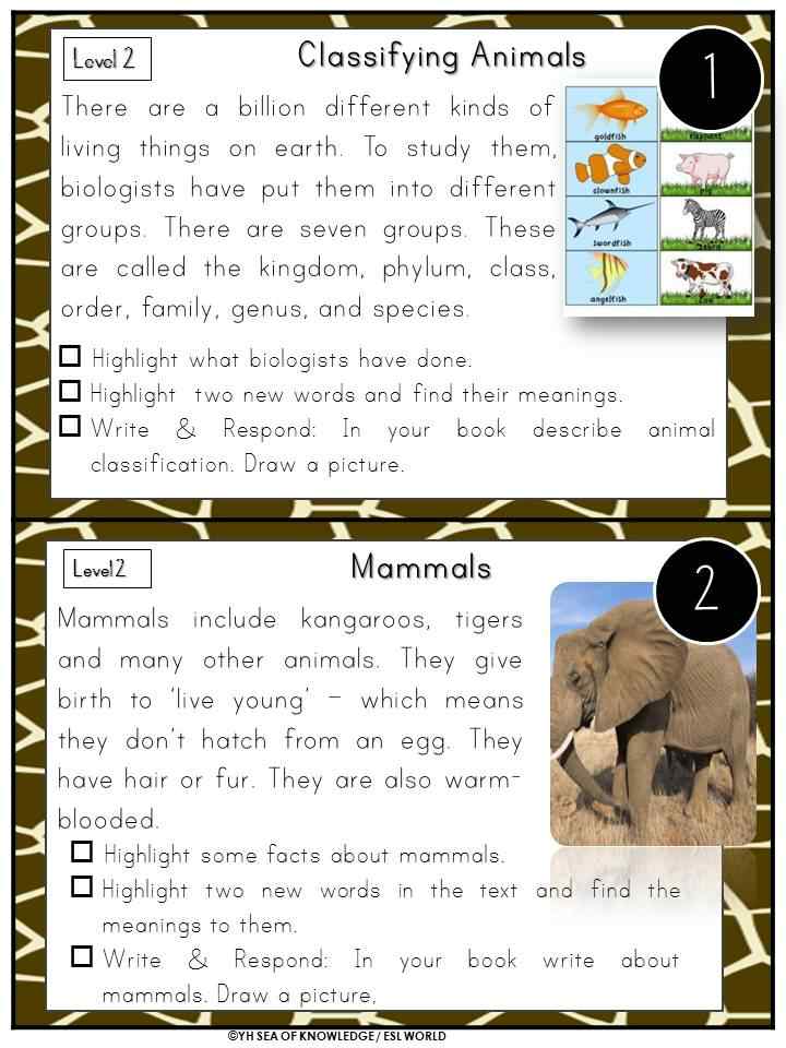 Classification Of Animals PDF Reading Tasks
