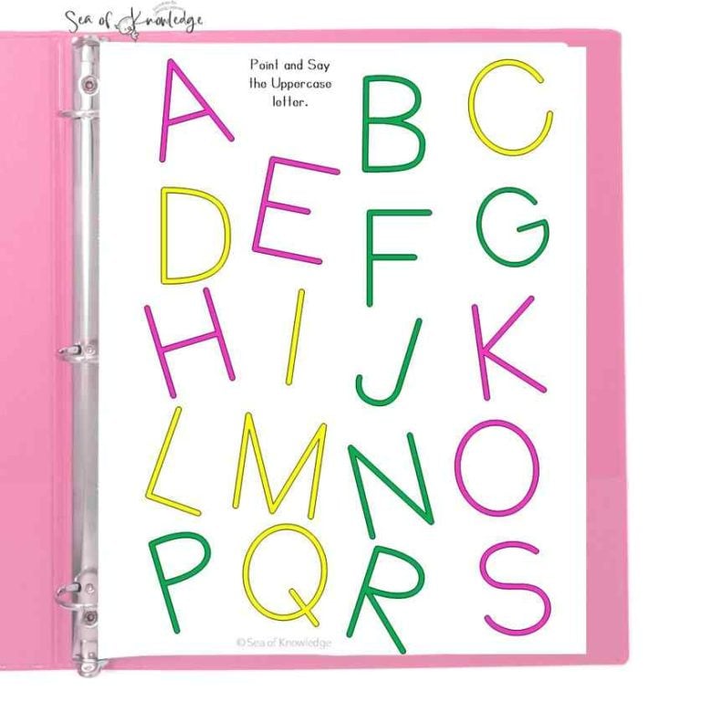 Kindergarten Readiness Assessment: A Comprehensive Binder for Preschool ...