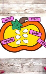 50+ Preschool Pumpkin Activities (Most Epic & Only List You'll Need)