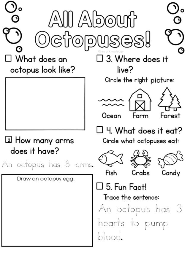 Life Cycle Octopus Craft for Kids: Simple Cut and Paste Templates with ...