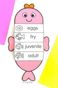 Fish Life Cycle (with a Fun Printable Craft!)