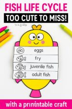 Fish Life Cycle (with a Fun Printable Craft!)
