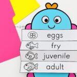Fish Life Cycle (with a Fun Printable Craft!)