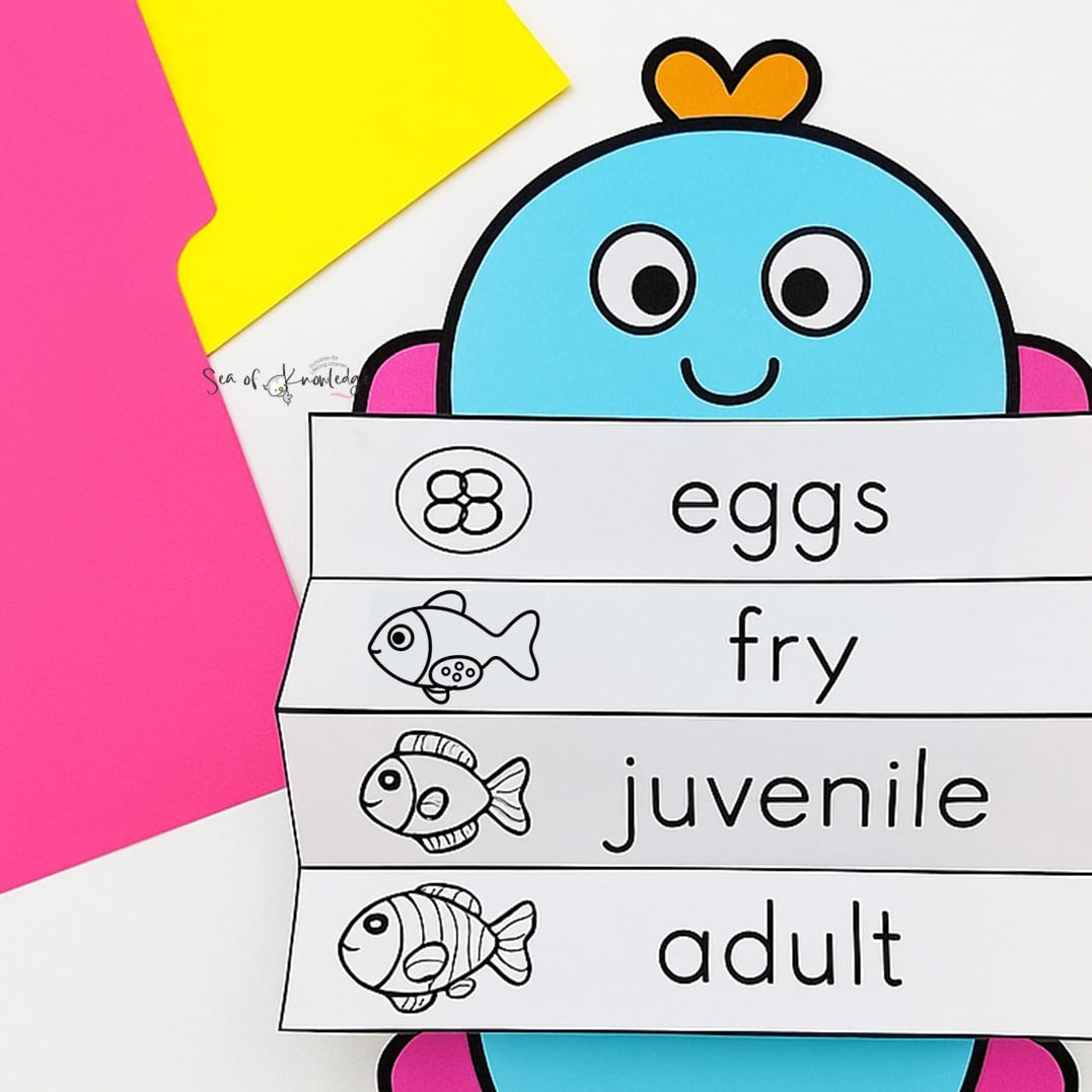 Fish Life Cycle (with a Fun Printable Craft!)