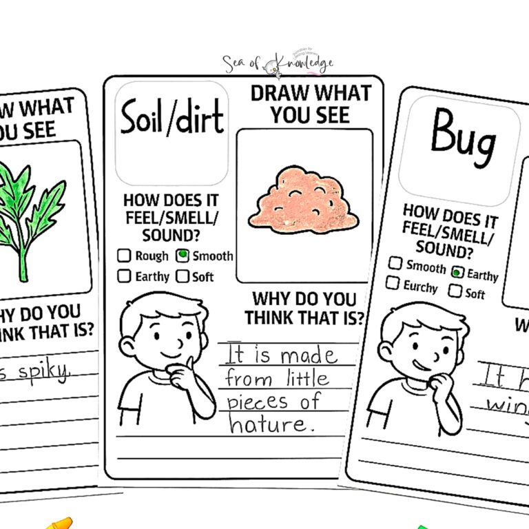 Outdoor Kids Science Ideas That Spark Critical Thinking 18 ...