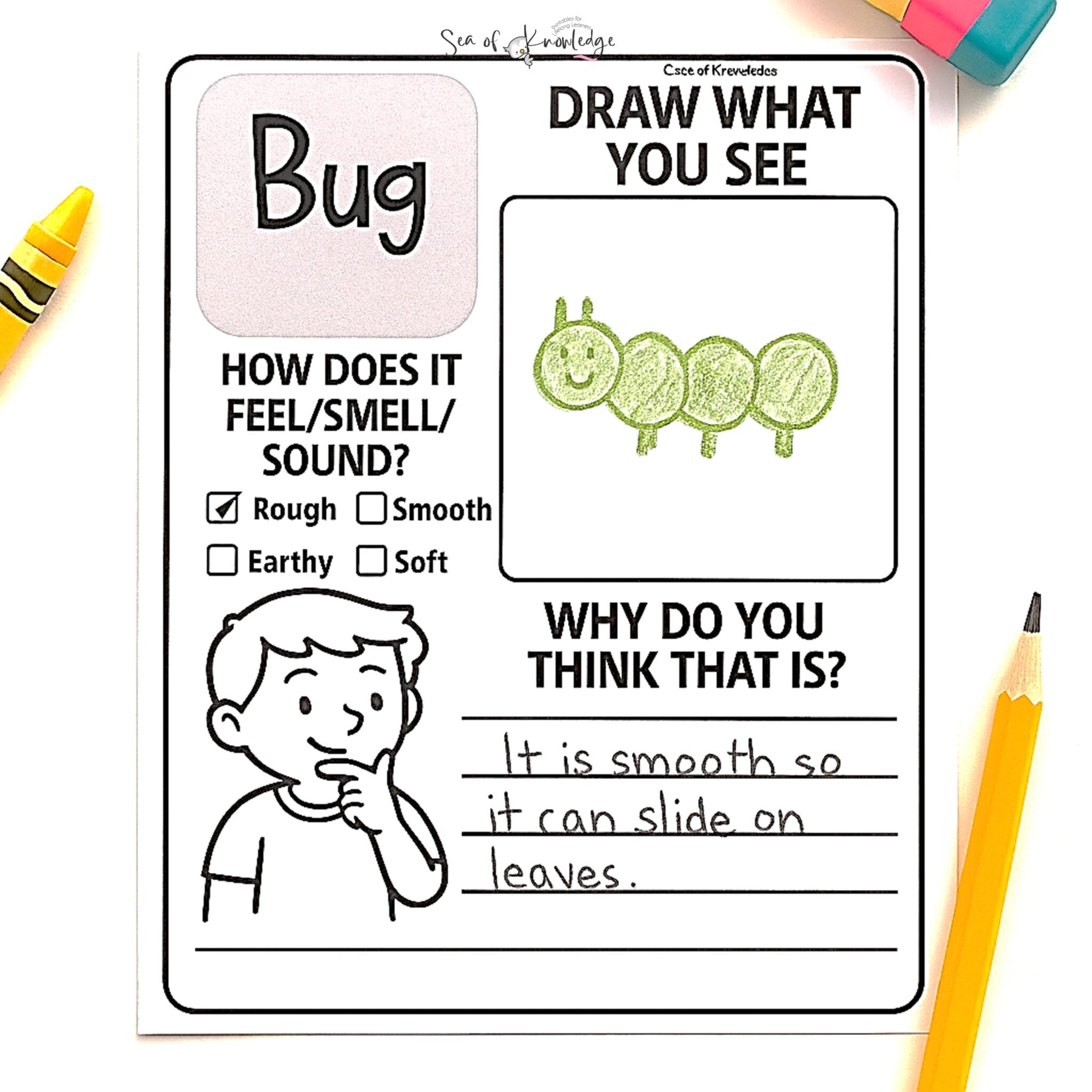 Outdoor Kids Science Ideas That Spark Critical Thinking 18 ...