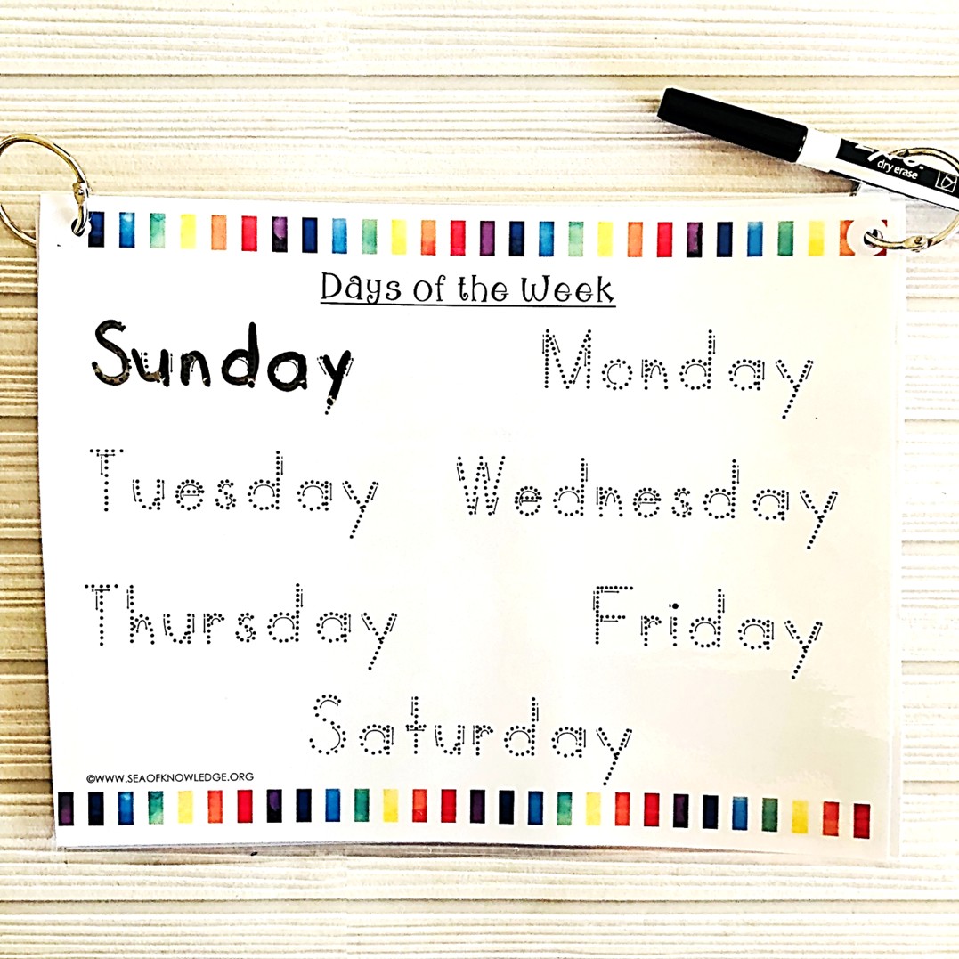 Education Busy Book Printable Fall 🍂 (Free Sample Inside!)