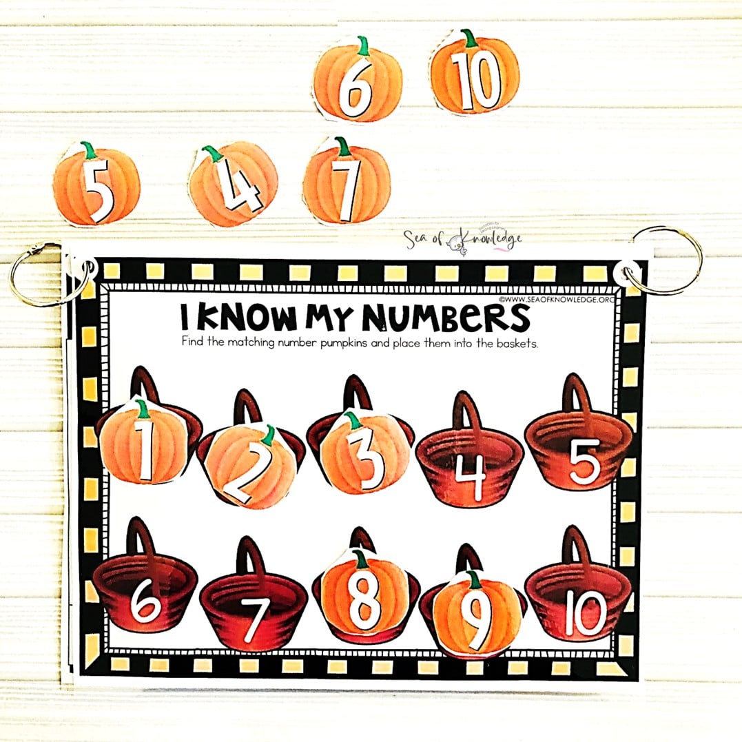 Education Busy Book Printable Fall 🍂 (Free Sample Inside!)